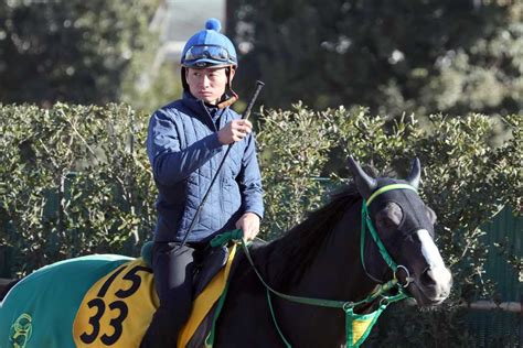 【東海s ズバッと！言いたい放題】京都で2戦2勝のブライアンセンスか 伸び盛りオーロイプラータか｜競馬ニュース｜競馬予想のウマニティ