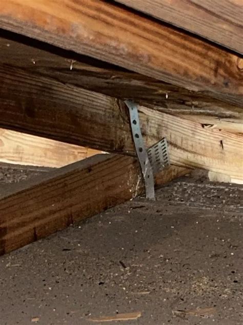 Different Types Of Mold Testing Techniques Explained