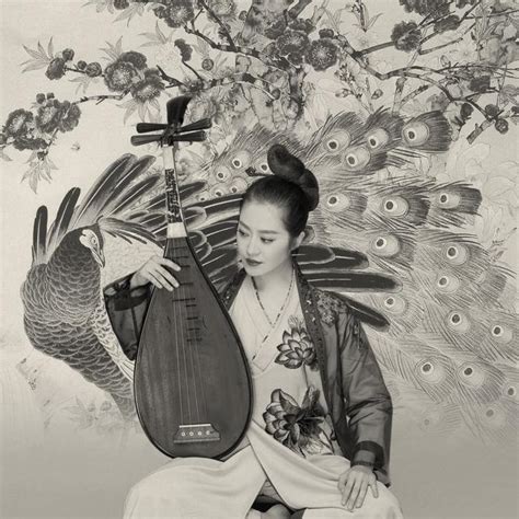 一曲琵琶數不盡的相思意 每日頭條