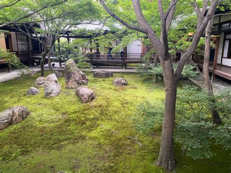愚痴聞き、悩みなんでも聞きます 様々な悩みや普通のおしゃべりなど気軽にお話ししましょう！ 話し相手・愚痴聞き ココナラ