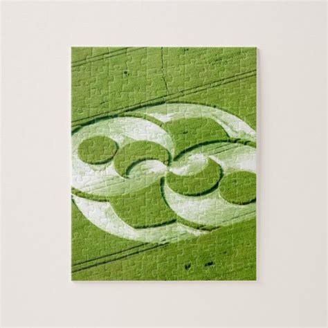 Crop Circle Julia Set Liddington Castle 1996 Puzzle Zazzle