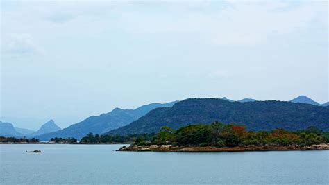 Senanayake Samudraya Gal Oya Dam My Lanka Holidays