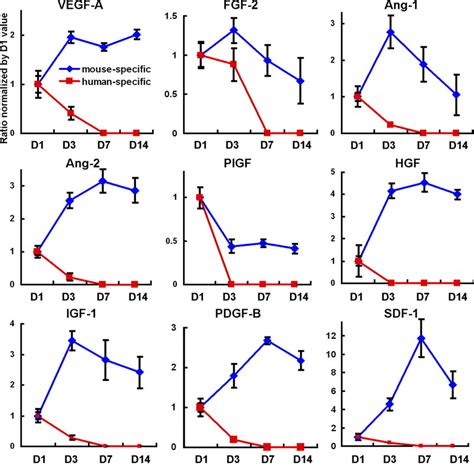 Host Cells Constitute The Major Role For Sustained Up Regulation Of The