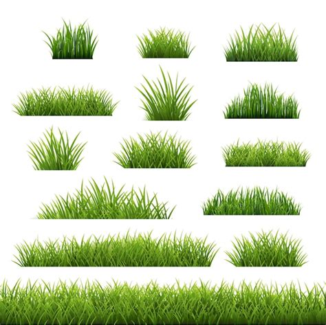 Premium Vector Big Set Green Grass Isolated White Background