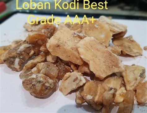 Loban At Best Price In India