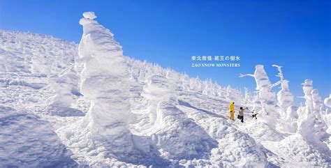 找到了雙向國際旅行社