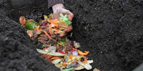 ¿cómo Hacer Compost Casero En Guatemala Aprende