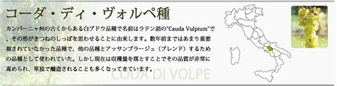 Coda Di Volpe Irpinia Corte