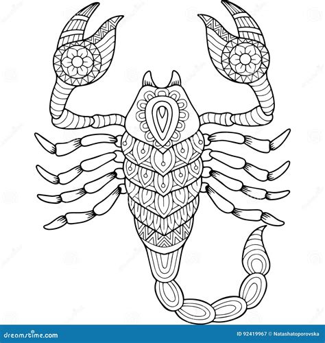 Vector Coloring Book For Adult Silhouette Of Scorpion Isolated On