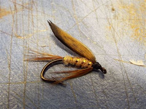 Page 12 Of 12 March Flies From The Vise Posted In The Fly Tying