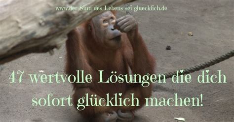 Glücklich Werden 47 Unfassbar Wertvoll Einfache Lösungen