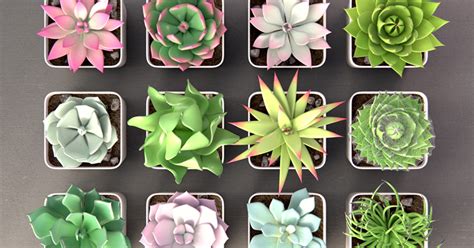 Procedural Art Plant Generation In Houdini