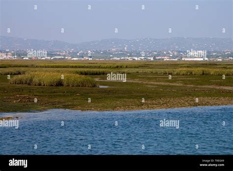 Ria Formosa Lagoon Portugal Parque Natural Da Ria Formosa Stock Photo