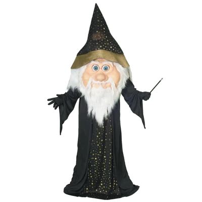 Forum Novelties Men S Wizard Mascot Costume Target