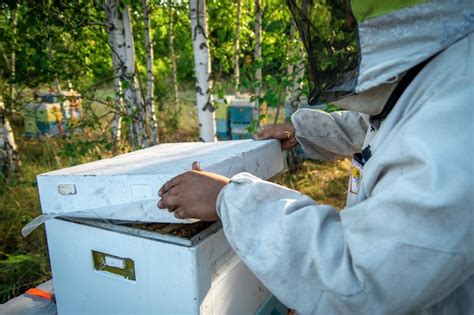 L apiculteur Du Rucher Vérifie Les Ruches Et Prend Soin Des Abeilles