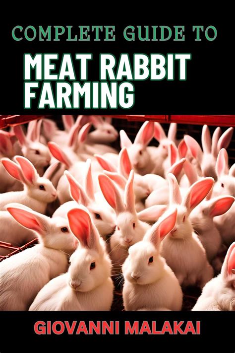 Complete Guide To Meat Rabbit Farming Comprehensive