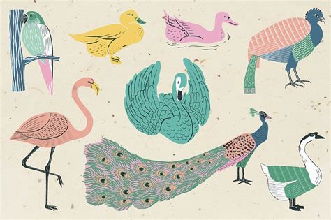 Pastel Birds Illustration Clipart Set Premium Psd Rawpixel