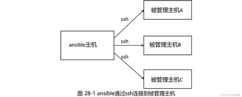 ansible的使用 csdn博客