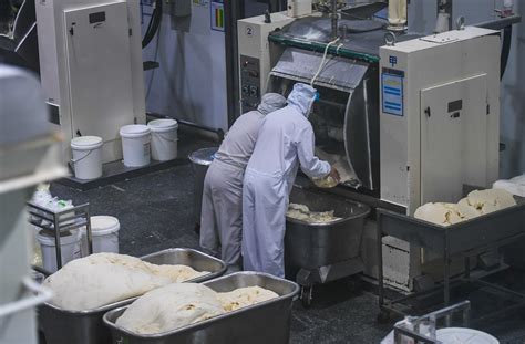 面包加工厂呼市呼市面包工厂面包食品厂呼市第4页大山谷图库