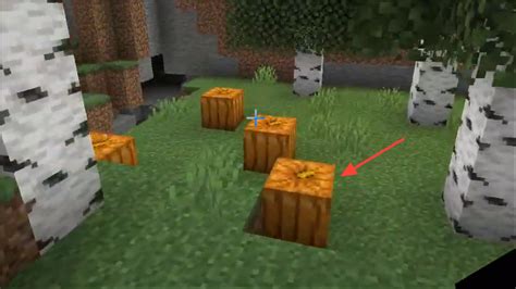 How To Get Pumpkin Seeds In Minecraft Java And Bedrock