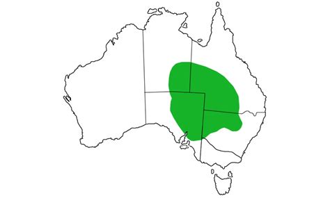 Bearded Dragon Habitat Map