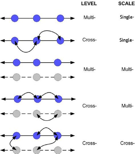 schematic illustrations of cross level cross scale multilevel and