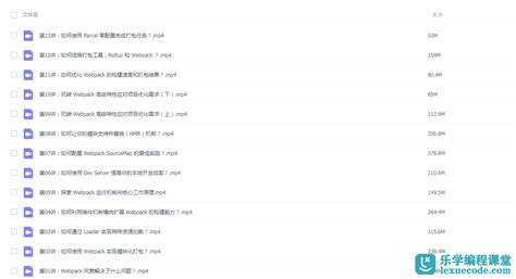 Webpack原理与实践课程