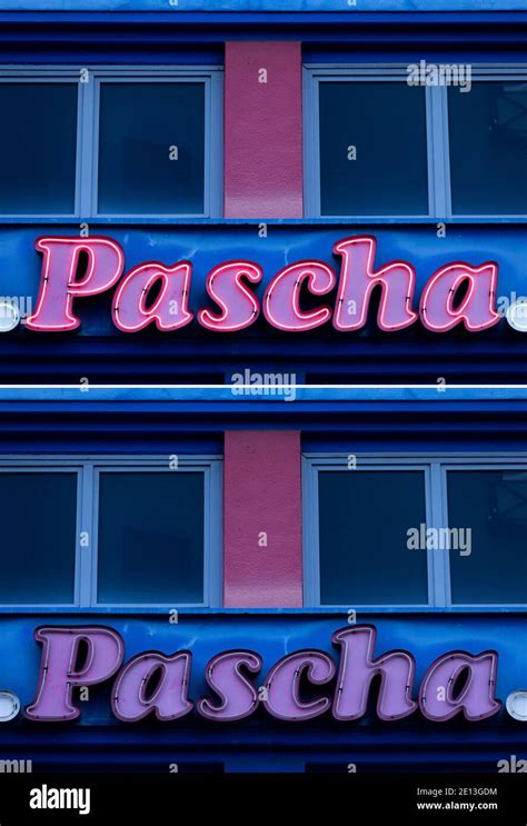 Pascha Brothel Telegraph