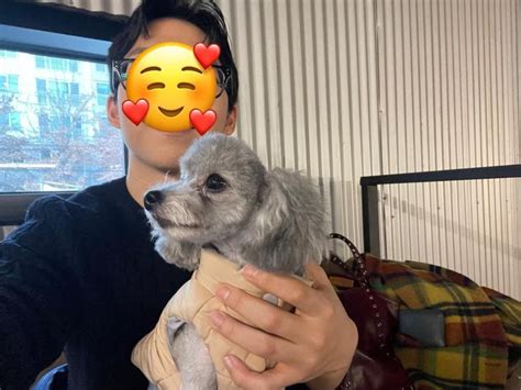 헤갤러들을 위한 셀프 스타일링 및 제품 유튜버 추천 정리글 헤어스타일 갤러리