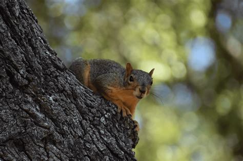 7 Ways Organizational Values Impact Employee Behavior Online Business School