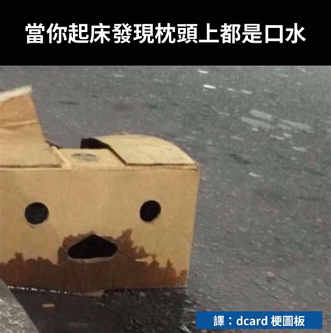一定i墊衛生紙 梗圖板 Dcard