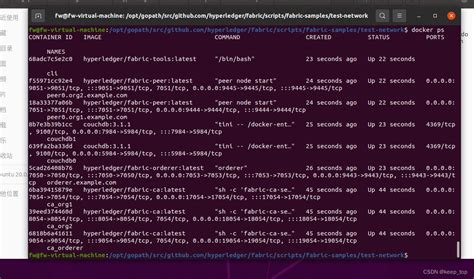 超级账本区块链fabric244版本搭建过程（完整过程）fabric最新版本 Csdn博客
