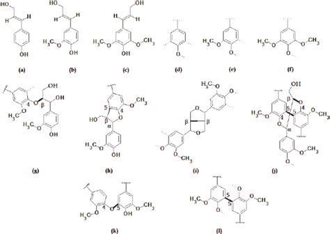 Lignin Monomers P Coumaril A Conyferil B And Sinapyl C Alcohols