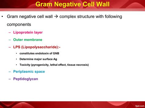 Bacterial Morphologyppt