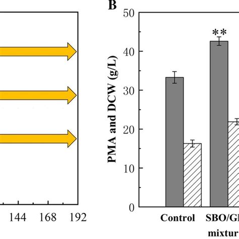 A The Schematic Diagram Of A Two Stage Fermentation Strategy B Pma Download Scientific Diagram