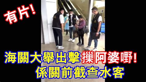 有片 海關大舉出擊 摷阿婆嘢 係關前截查水客 發現有人偷運觀賞魚出大陸 Youtube