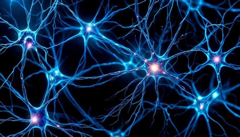 Premium Photo Neurons With Glowing Synapses In Microscopic View
