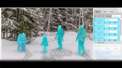 Add Annotations By Polygons Or Segmentation To Ai Images By Mulisamuel