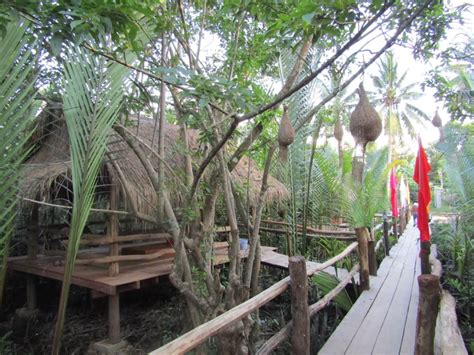 រមណីយដ្ឋានធម្មជាតិព្រៃចាក មិនឆ្ងាយពីក្រុងទេសភាពស្អាតខ្លាំង Tnaot