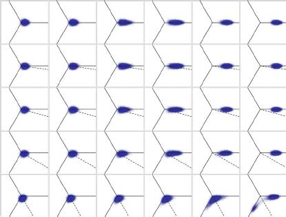 Left Polyakov loop distribution for μ I T 0 π 24 π 12 π