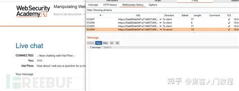 Websocket安全性分析 知乎 Websocket安全性分析 知乎