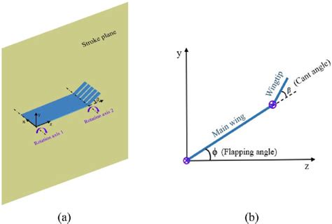 Description Of The Coordinate System And Angle Definitions A