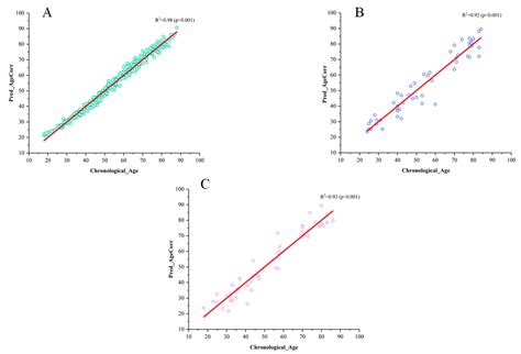 Low Rank Tensor Fusion For Enhanced Deep Learning Based Multimodal
