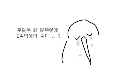 알 수 없음에 있는 파랑님의 핀 웃긴 인용구 웃긴 밈 영감을 주는 명언
