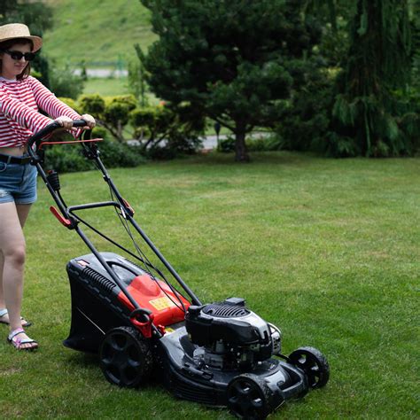 Planting The Future Top 5 Trends Shaping The Plot Seeder Market