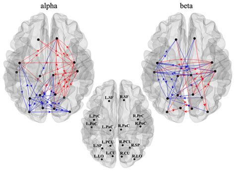 Sensors Special Issue Eeg Signal Processing Techniques And Applications