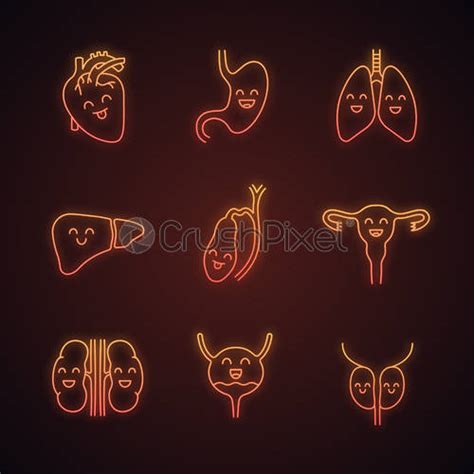 Smiling Human Internal Organs Neon Light Icons Set Stock Vector