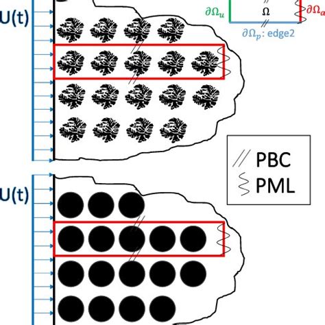2d Simulation Model Of A Solid With Dendritic Top Panel And Circular Download Scientific