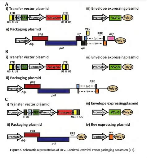 Lentivirus Vector And Gene Therapy Production Services Genemedi