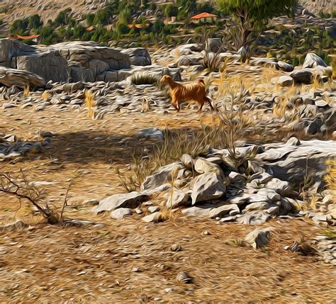 ال صورة الخلفية والصورة للتنزيل المجاني Pngtree